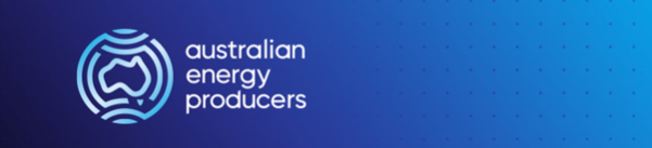 Information Paper | ACCC Gas Inquiry Interim Report - June 2025